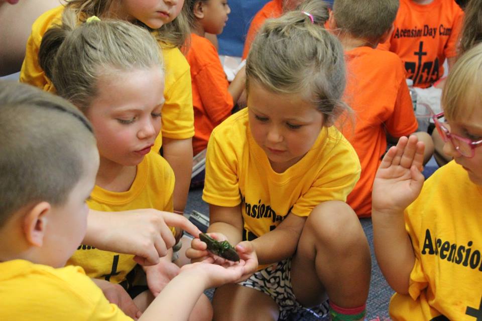 Day Camp - Ascension Lutheran Church